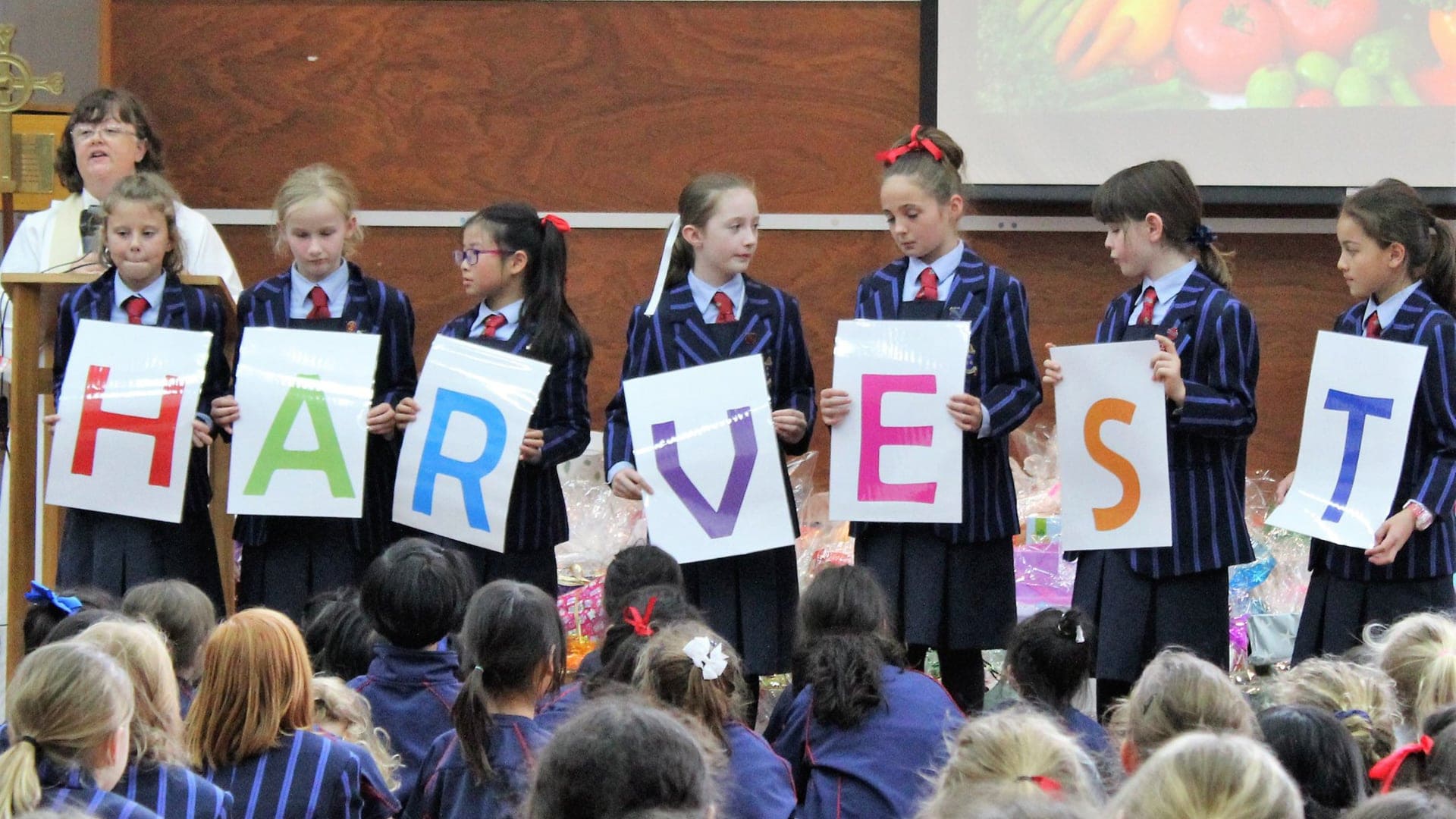 MST Lite - Anglican Schools of Aotearoa New Zealand & Polynesia